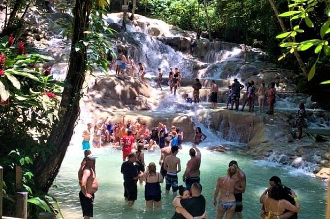 Dunn's River Falls and Fern Gully Highlight Adventure Tour from Kingston - A Closer Look at the Itinerary