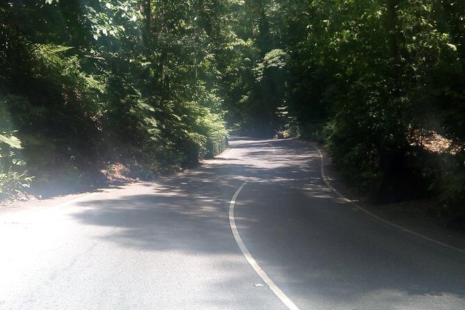 Dunn's River Falls and Fern Gully Highlight Adventure Tour from Runaway Bay - Who Will Love This Experience?