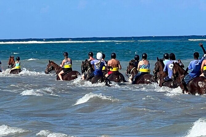 Dunns River Falls and horseback riding activity - Who Should Consider This Tour?