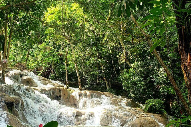 Dunns River Falls and Horseback Riding Tour from Montego Bay - Who This Tour Is Best For