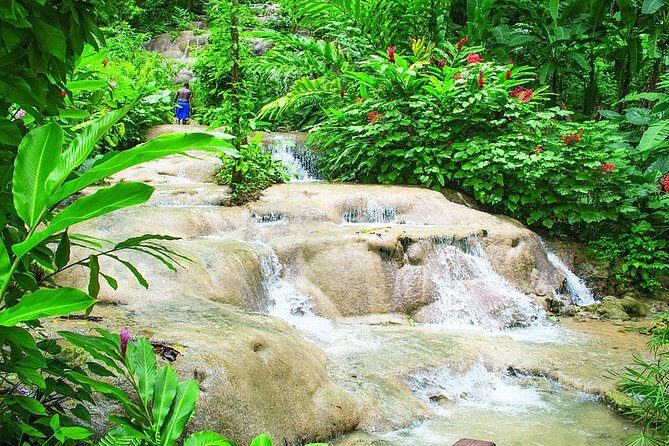 Dunns River Falls and Konoko Garden - Who Should Consider This Tour?