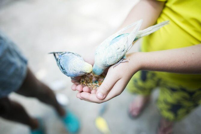 Dunns River Falls and Konoko Garden - Final Thoughts