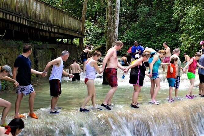 Dunn's River Falls and Luminous Lagoon Guided Tour from Grand Palladium - An Honest Look at the Tour Experience