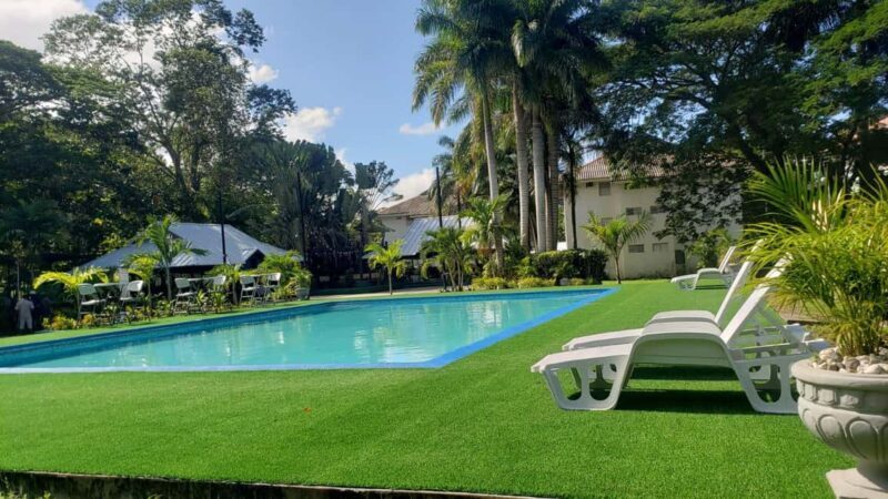 Dunn's River Falls and Lunch at Aquaville - Exploring Dunn’s River Falls and Lunch at Aquaville: A Balanced Look