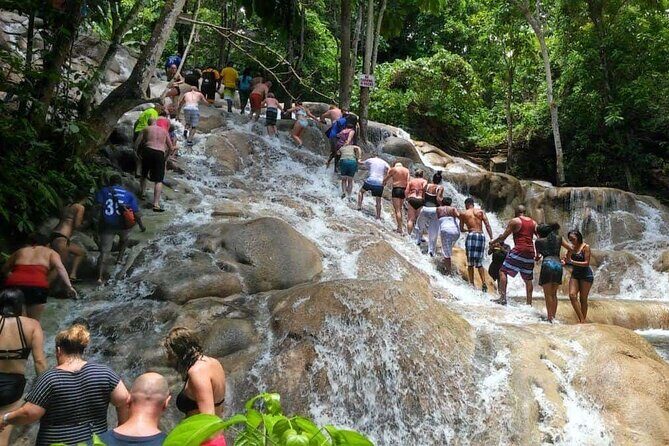 Dunn's River Falls and Ocho Rios Highlights Tour - What the Tour Offers and Why It Matters