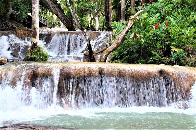 Dunn's River Falls and Ocho Rios Shopping Tour from Grand Palladium Resorts - What to Expect on the Tour