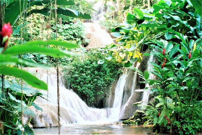 Dunn's River Falls and Ocho Rios Shopping Tour from Montego Bay Hotels - An In-Depth Look at the Tour Experience