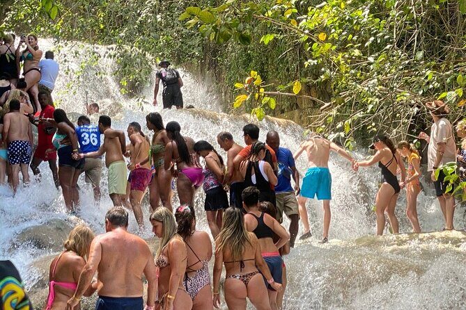Dunn's River Falls and OchoRios Highlight View Scenic Fern Gully - Practical Tips for Participants
