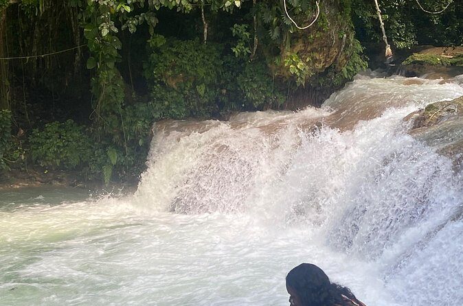 Dunns River Falls and Shopping Tour in Ocho Rios - The Practical Side: What You Need to Know