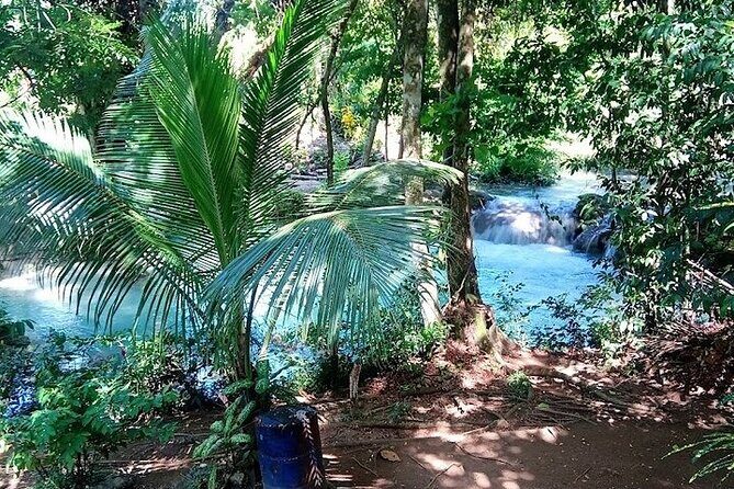 Dunns River Falls & Blue Hole in ocho Rios frm Negril/Montego Bay - Practical Details: Transportation, Timing, and Group Size