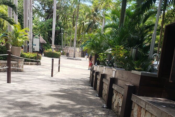 Dunn's River Falls & Blue Hole Tour from Montego Bay - Authenticity, Value, and Considerations