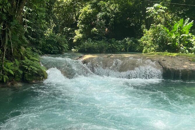 Dunn's River Falls & Blue Hole Tour from Montego Bay - The Sum Up