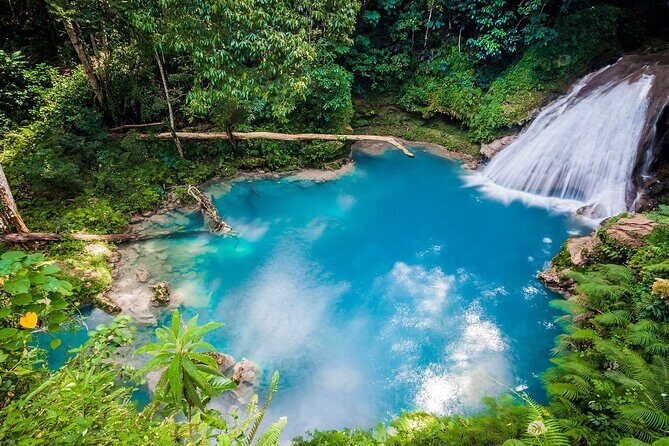 Dunn's River Falls & Blue Hole Tour Ocho Rios -Admission Included - The Local Flavor: Market and Optional Lunch