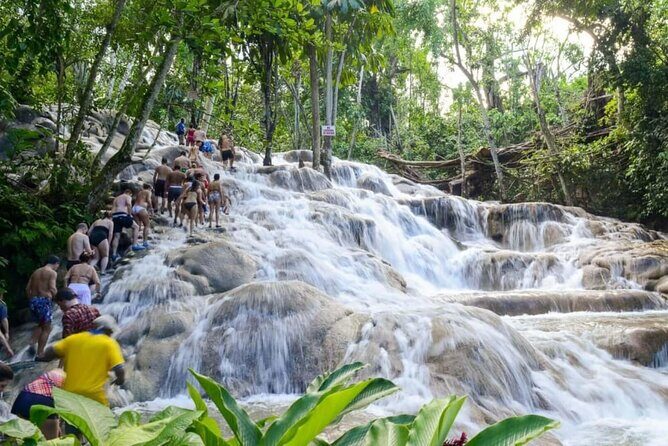 Dunn's River Falls & Bob Marley Nine Mile Ocho Rios Combo Tour - An Introduction to the Tour Experience