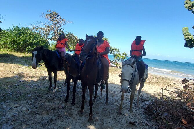 Dunn's River Falls Climb, Zipline and Horseback Riding Private Tour - What Makes This Tour Stand Out?