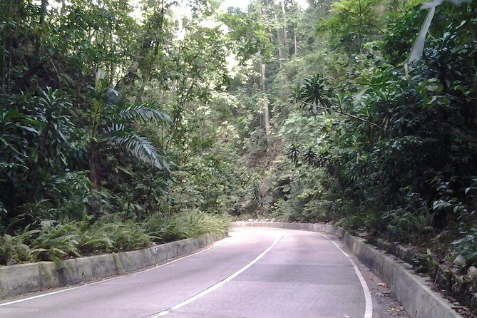 Dunn's River Falls Excursion from Ocho Rios - The Price and Whats Included