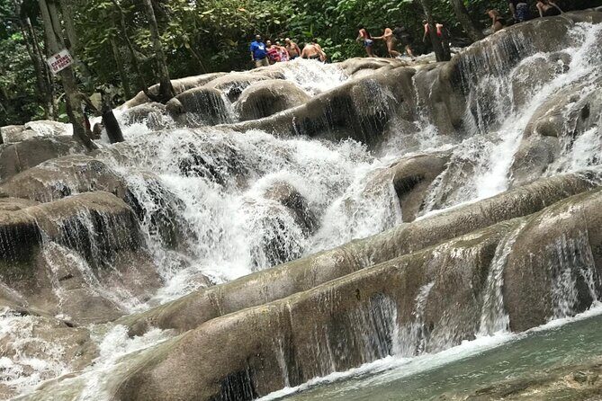 Dunns River Falls Experience from Montego Bay Resorts - Introduction: A Closer Look at the Dunns River Falls Experience from Montego Bay Resorts