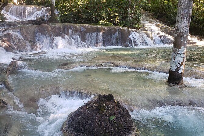 Dunns River Falls Experience from Montego Bay Resorts - Exploring the Dunns River Falls Tour: What to Expect