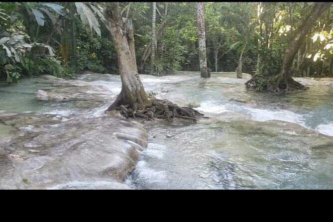 Dunns River Falls Experience from Montego Bay Resorts - The Sum Up: Who Should Consider This Tour?