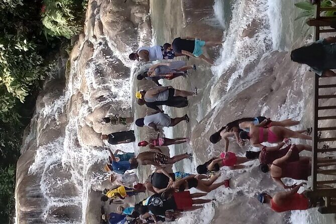 Dunn's River Falls From Falmouth - An In-Depth Look at the Dunns River Falls Tour