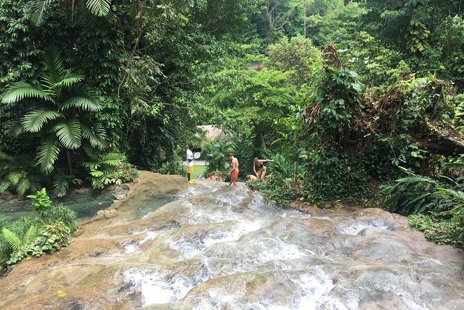Dunns River Falls & Horse Back Riding Transportation Only - Deep Dive into the Itinerary