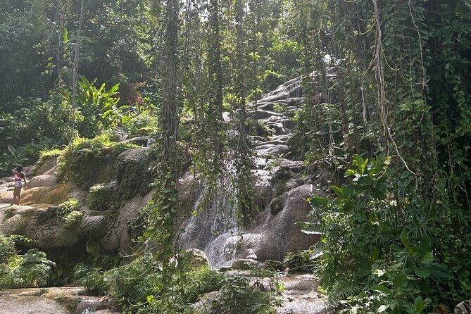 Dunns River Falls Mahogany Beach and Hilltop Lookout Tour - Exploring the Itinerary in Detail