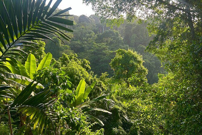 Dunns River Falls Mahogany Beach and Hilltop Lookout Tour - Authentic Experiences and Guest Feedback