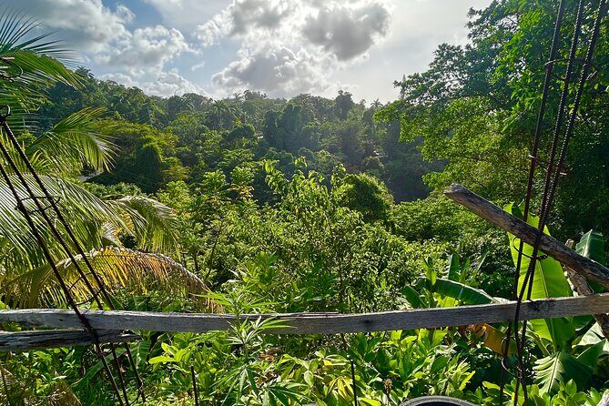 Dunns River Falls Mahogany Beach and Hilltop Lookout Tour - Who Should Consider This Tour?