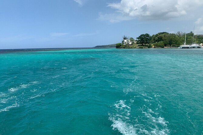 Dunn's River Falls Party Cruise, Blue Hole with Snorkeling, free beverages - Who Should Book This Tour?