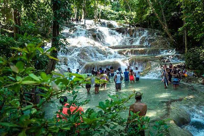 Dunn's River Falls plus Luminous Lagoon (Glistening Water)Private Tour - Key Points