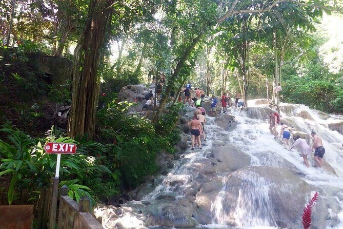 Dunns River Falls Private Day Tour - The Experience in Detail