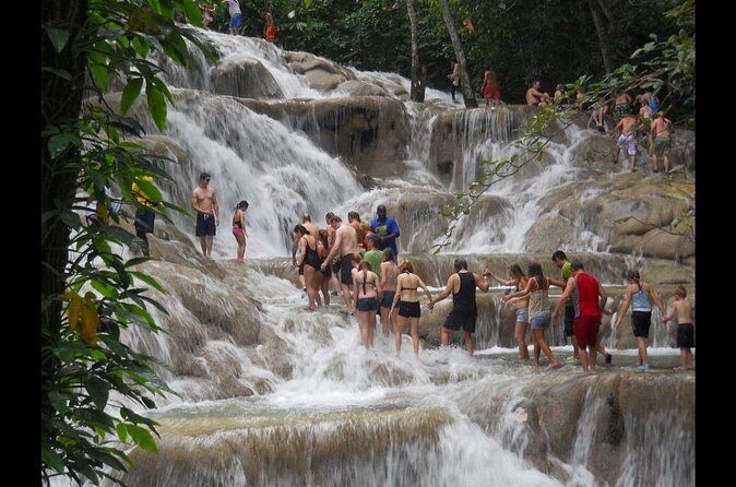 Dunn's River Falls & River Tubing with Lunch from Falmouth - How the Tour Comes Alive: Authentic Experiences and Feedback
