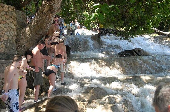 Dunn's River Falls Tour from Ocho Rios - Who Should Consider This Tour?