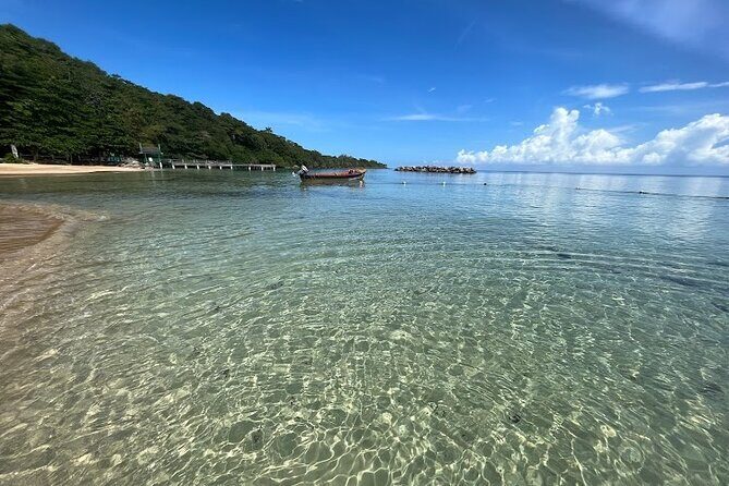 Dunns River Falls With Private Transportation from Montego Bay - A Closer Look at the Dunns River Falls Tour