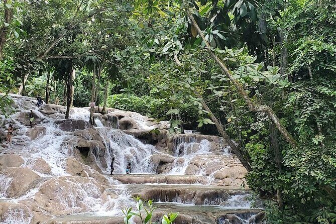 Dunns River Falls With Private Transportation from Montego Bay - Final Thoughts