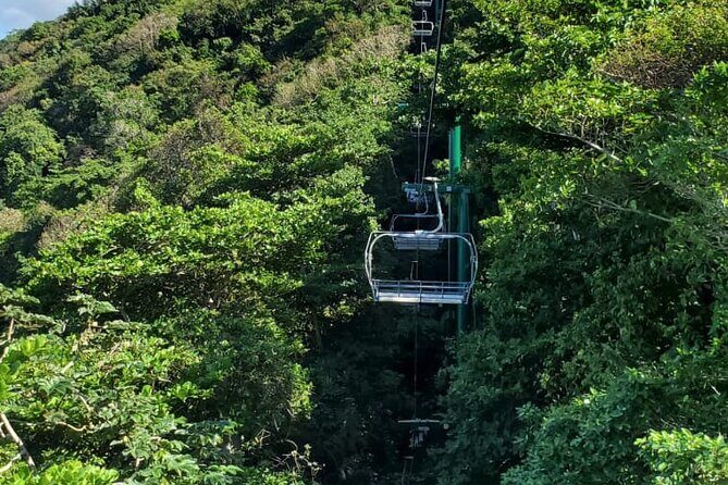 Dunns River Falls,Zip lining & horseback riding Combo tour from Montego Bay - The Sum Up