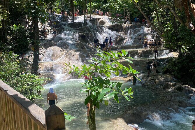 Dunns River Private Tour - Transportation & Comfort