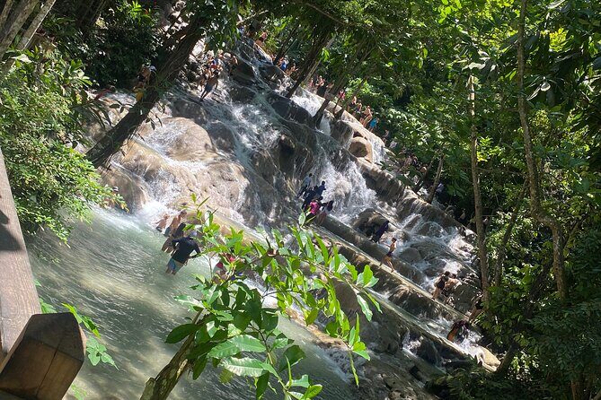 Dunns River Private Tour - User Feedback & Authentic Insights