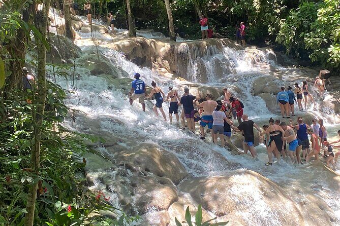 Dunns River Private Tour - Final Thoughts