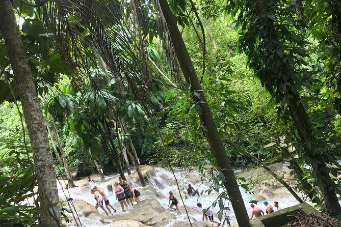 Dunns River Tour - A Deep Dive into the Dunns River Experience