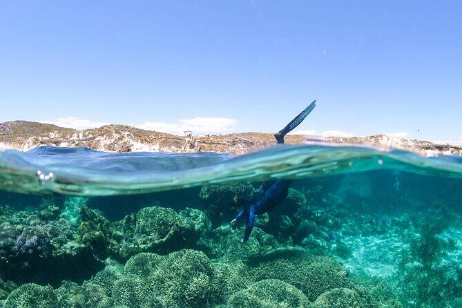 Dunsborough Eco and Snorkel Boat Tour - Analyzing the Price and Value