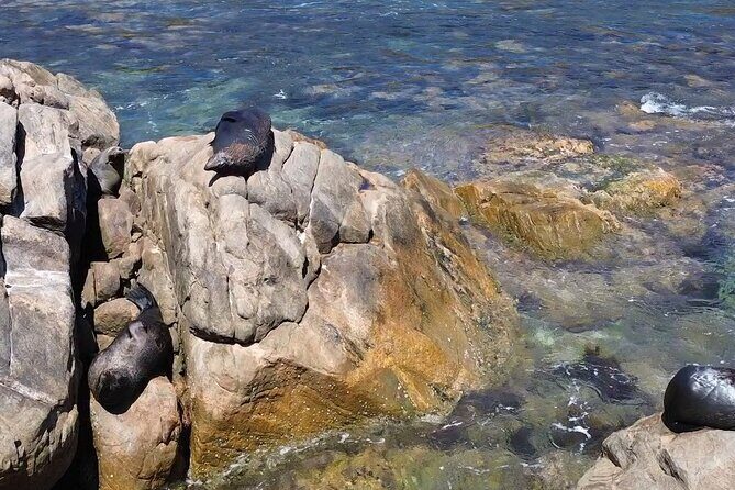 Dunsborough Eco and Snorkel Boat Tour - Who Will Appreciate This Tour?