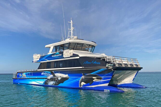 Dunsborough Whale Watching Eco Tour - A Detailed Look at the Dunsborough Whale Watching Eco Tour