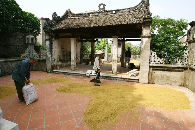 Duong Lam Ancient Village Countryside in Hanoi - A Practical Look at Hanoi’s Countryside: Duong Lam Ancient Village Tour