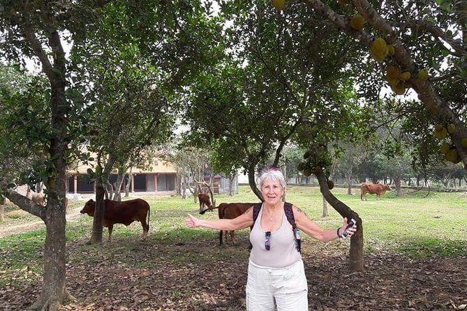 Duong Lam Ancient Village Private Tour - Closing the Day and Return to Hanoi