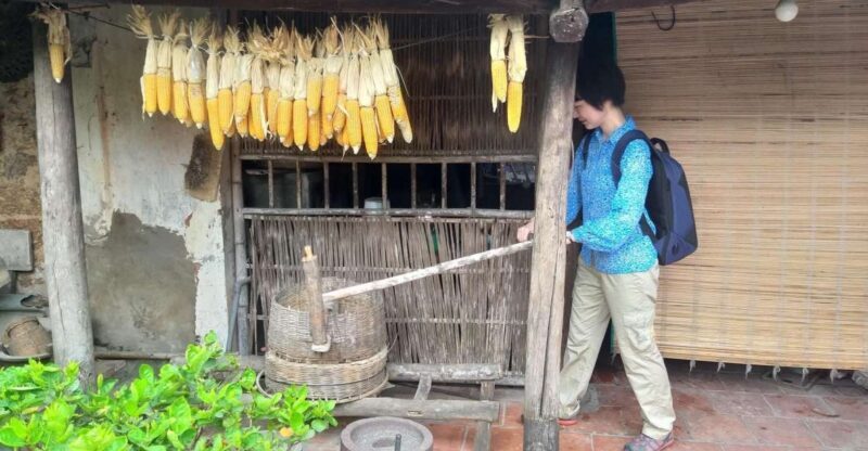 Duong Lam Ancient Village - An In-Depth Look at the Duong Lam Village Tour