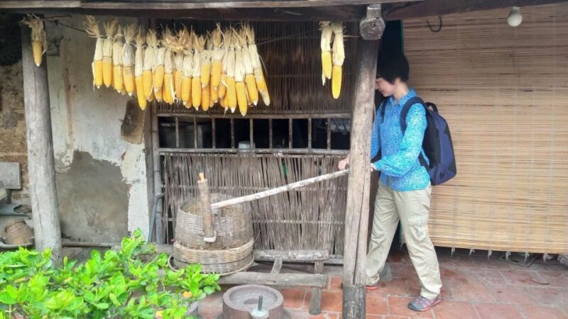 Duong Lam Ancient Village - Who Will Love This Tour?