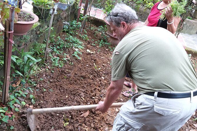 Duong Lam ancient village - Thay Pagoda - Van Phúc silk - Transport, Timing, and Group Size
