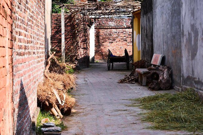 Duong Lam Village Life 1 Day Tour - Comfort and Practicalities
