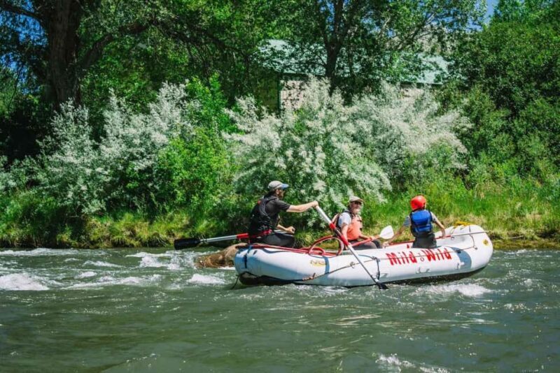 Durango 1/4 Day Rafting Trip - Lower Animas River - Navigating Water Conditions and Safety